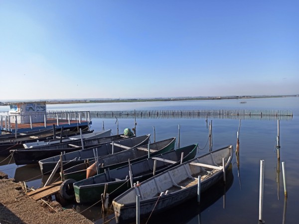 Cosa vedere a Lesina in Puglia: guida completa | IViaggiDiLiz
